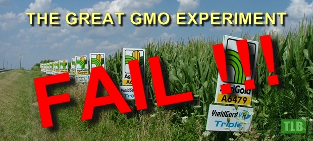 gmo lab report
