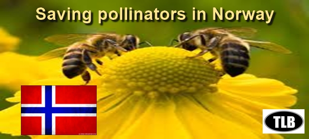 Norway pollinators meme 7 27 16 | The Liberty Beacon