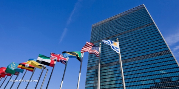 united-nations-building-flags | The Liberty Beacon